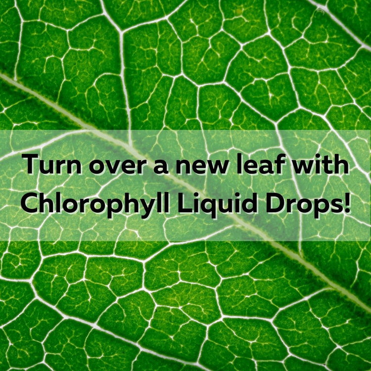 Chlorophyll Liquid Drops: Benefits, Uses, and How to Incorporate Them ...