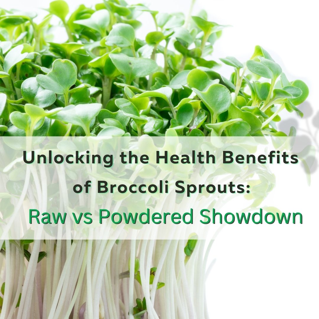 Unlocking the Health Benefits of Broccoli Sprouts: Raw vs Powdered ...