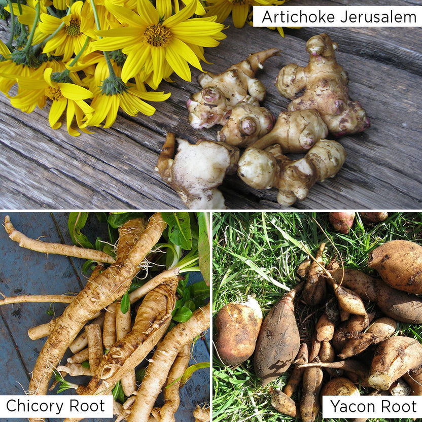 Aki Organic Harnessing the Power of Nature for Your Health & WellBeing